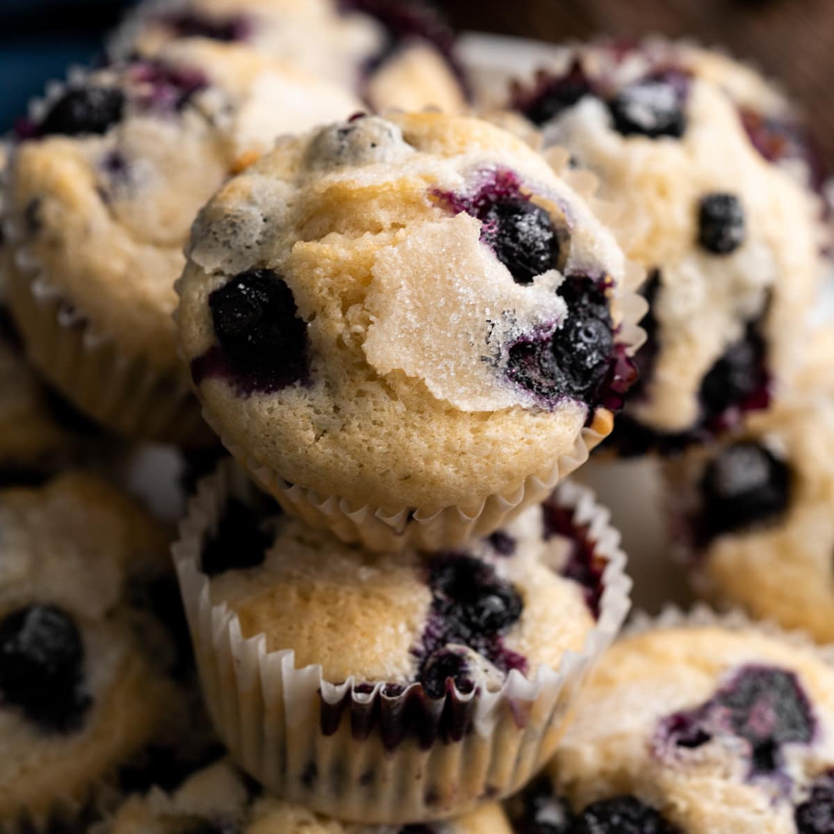 Mini Chocolate Chip Muffins - The Wanderlust Kitchen