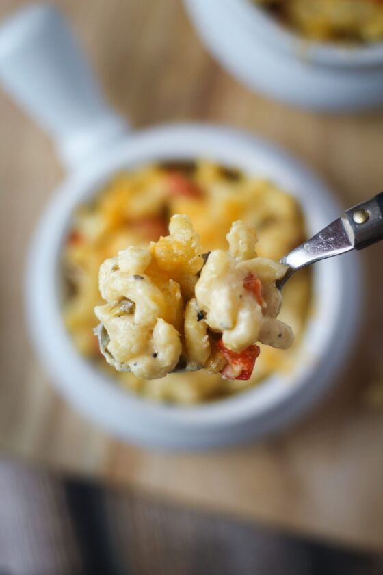 Baked Macaroni and Cheese - The Wanderlust Kitchen