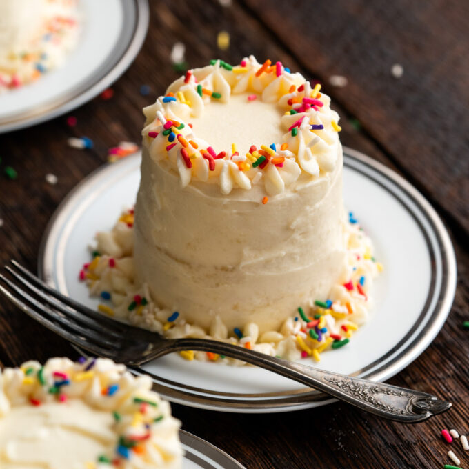 Mini Cakes - The Wanderlust Kitchen